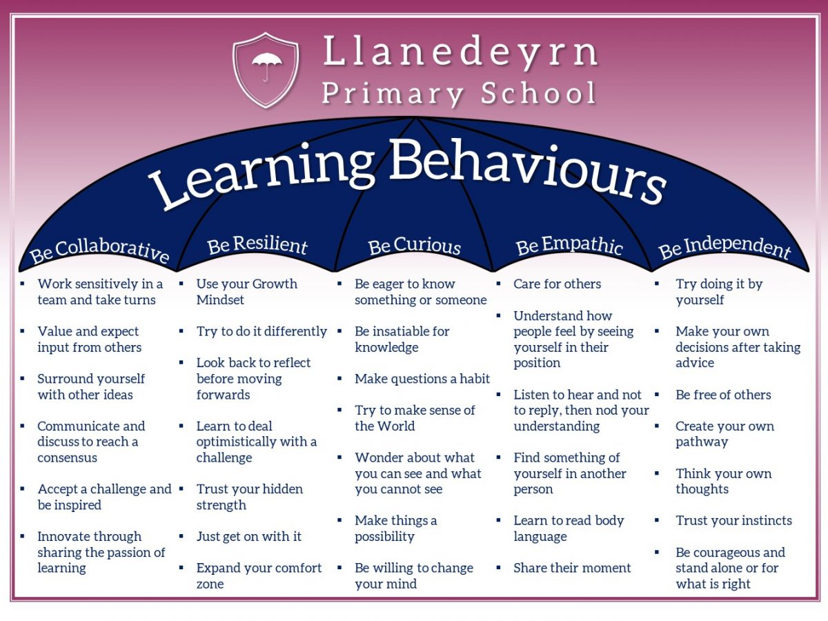 Core Values – Llanedeyrn Primary School
